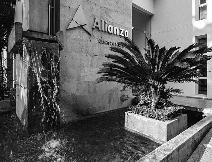 Castañeda Vacca – Gestión de Proyectos